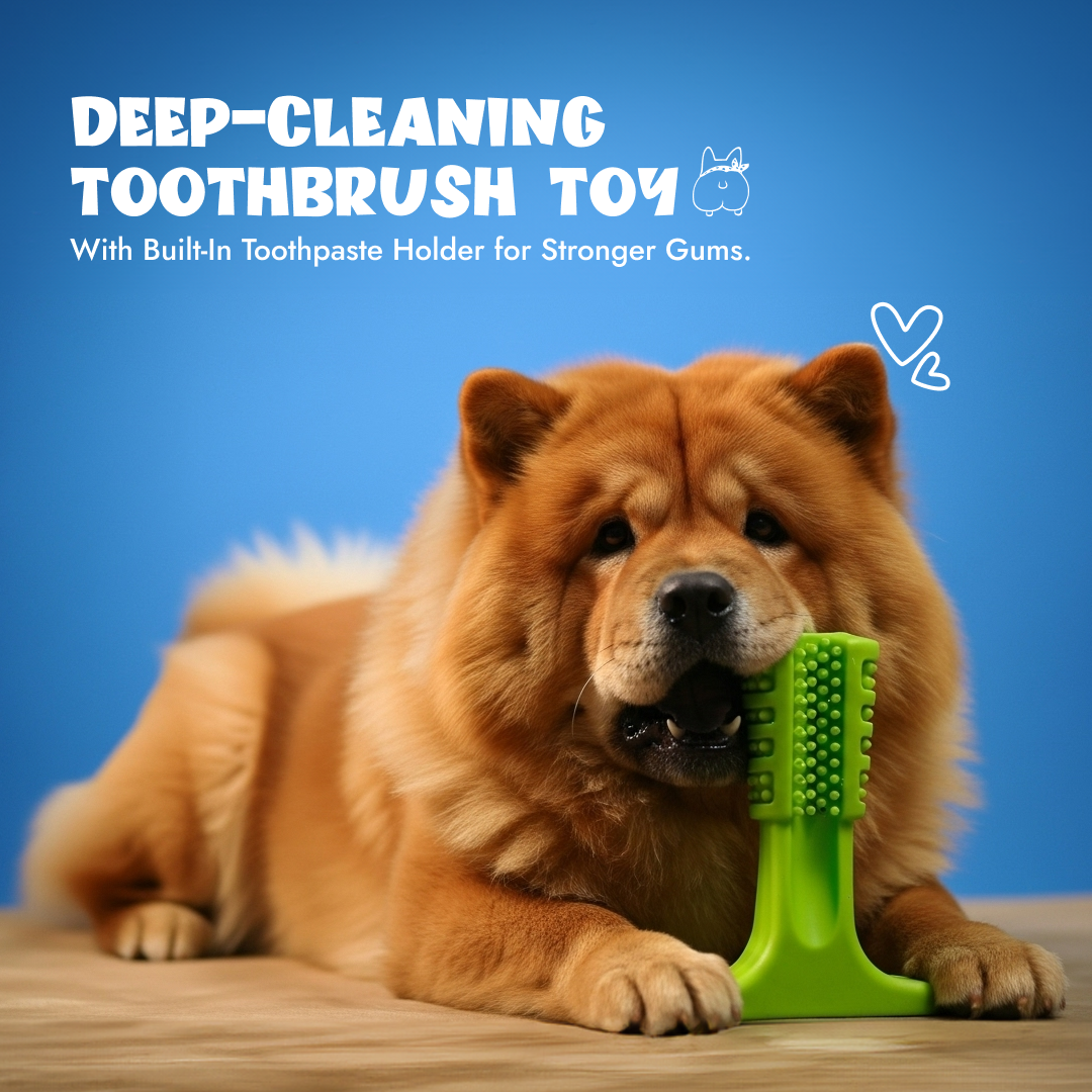 Dog Teeth Cleaning Chew Toy (Green) | Durable Oral Care Toy ...